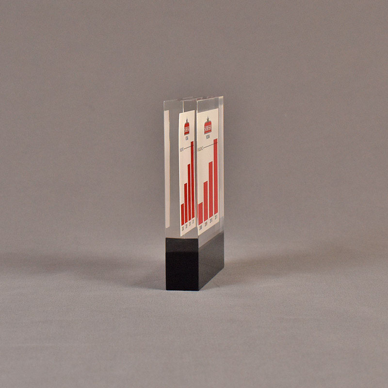 Array Rectangle Acrylic Embedment 3.5" x 4" | USAcrylicAwards