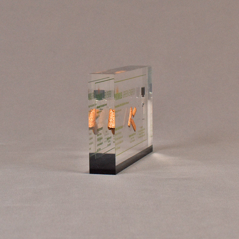 Array Rectangle Acrylic Embedment 4" x 6" | USAcrylicAwards