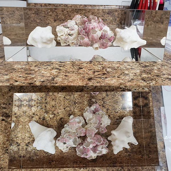 Polyester or Lucite® Acrylic Embedding | Which is best?